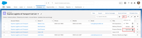 Your Complete Guide to Salesforce List Views in Lightning - Inspire Planner