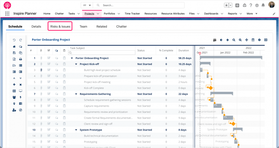 How to Reduce Unforeseen Project Risks and Issues - Inspire Planner