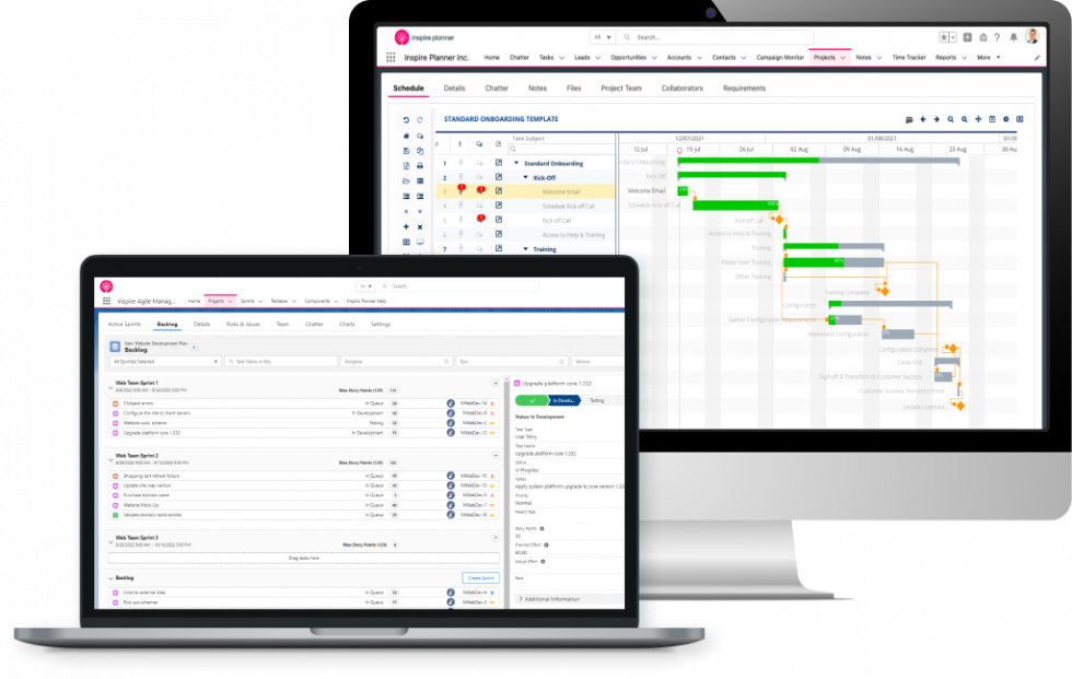 Inspire Planner Salesforce Project Management App