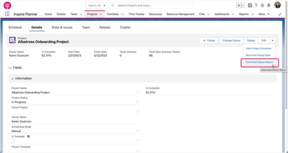 The Ultimate Guide to Salesforce Reports for Project Management ...