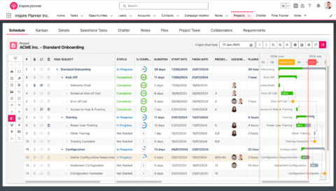 How Salesforce Gantt Chart Software Can Help Manage Projects - Inspire ...