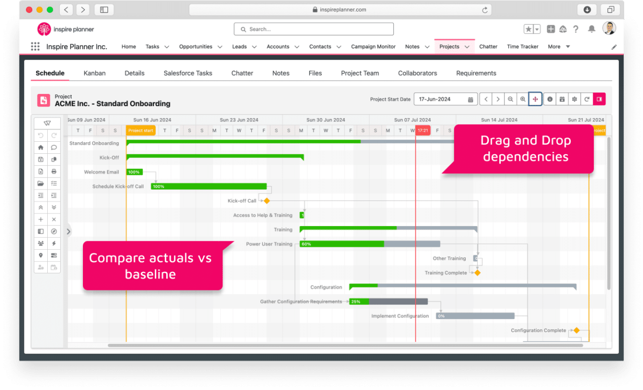 Inspire Planner - Salesforce Project Management App